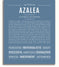 Azalea | Name Art Print – Name Stories