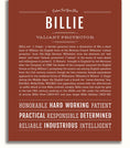 Billie Personalized Name Meaning Art Prints – Name Stories