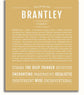 Brantley Personalized Name Meaning Art Prints – Name Stories