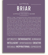 Briar (female) | Name Art Print – Name Stories