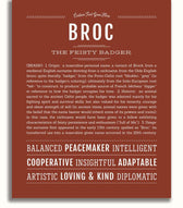 Broc | Name Art Print - Personalized Custom Gifts – Name Stories