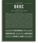 Broc Personalized Name Meaning Art Prints – Name Stories