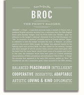 Broc | Name Art Print – Name Stories