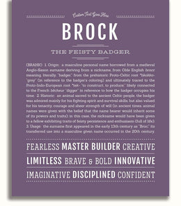 Brock | Name Art Print – Name Stories