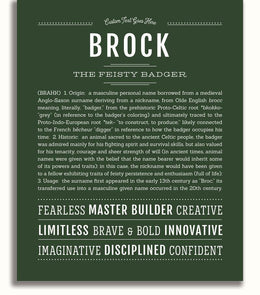 Brock | Name Art Print – Name Stories
