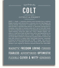 Colt Personalized Name Meaning Art Prints – Name Stories