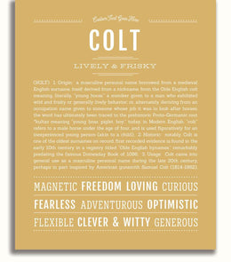 Colt | Name Art Print – Name Stories