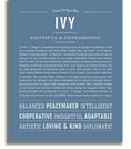 Ivy | Name Art Print – Name Stories