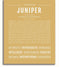 Juniper | Name Art Print – Name Stories