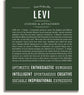Levi | Name Art Print – Name Stories