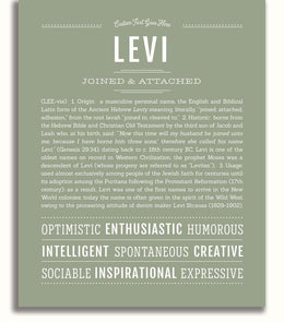 Levi | Name Art Print – Name Stories
