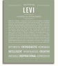 Levi | Name Art Print – Name Stories