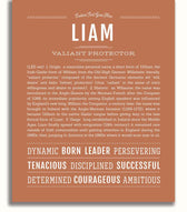 Liam | Name Art Print – Name Stories