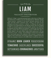 Liam | Name Art Print – Name Stories