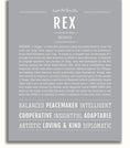 Rex | Name Art Print – Name Stories