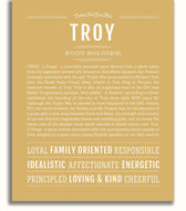 Troy | Name Art Print – Name Stories