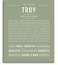 Troy | Name Art Print – Name Stories